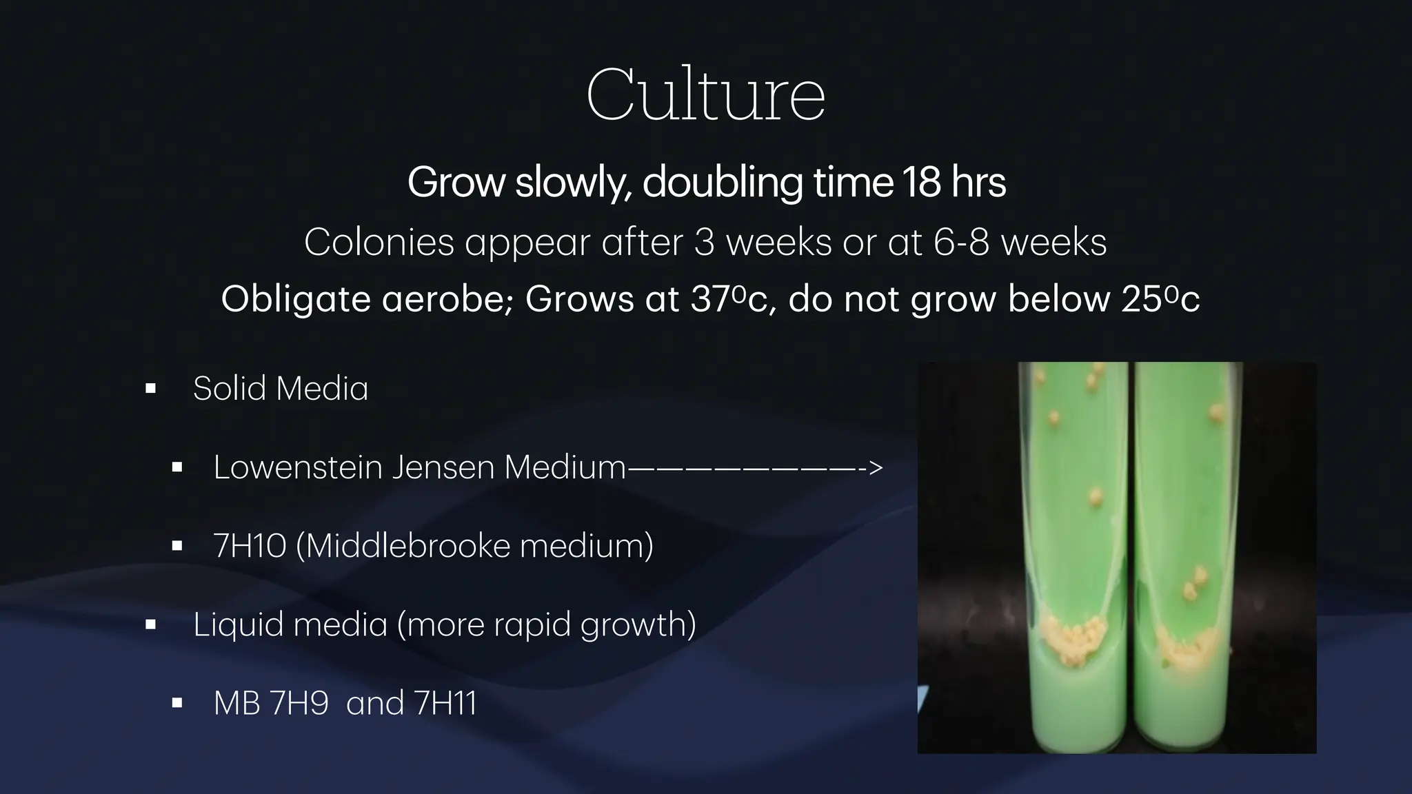 Lecture on Mycobacterium_Tuberculosis (SBMC).pdf