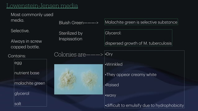 Lecture on Mycobacterium_Tuberculosis (SBMC).pdf