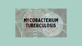 Mycobacterium tuberculosis: cuadro clínico | PDF