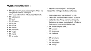 mycobacterium isolation and detection .pptx