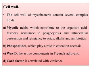 Mycobacterium- 5.pptx