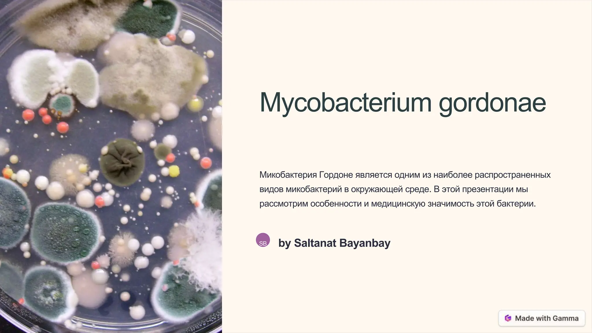 Mycobacterium-gordonae.pptx