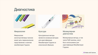 Mycobacterium-gordonae.pptx | Infectious Diseases | Diseases and Conditions