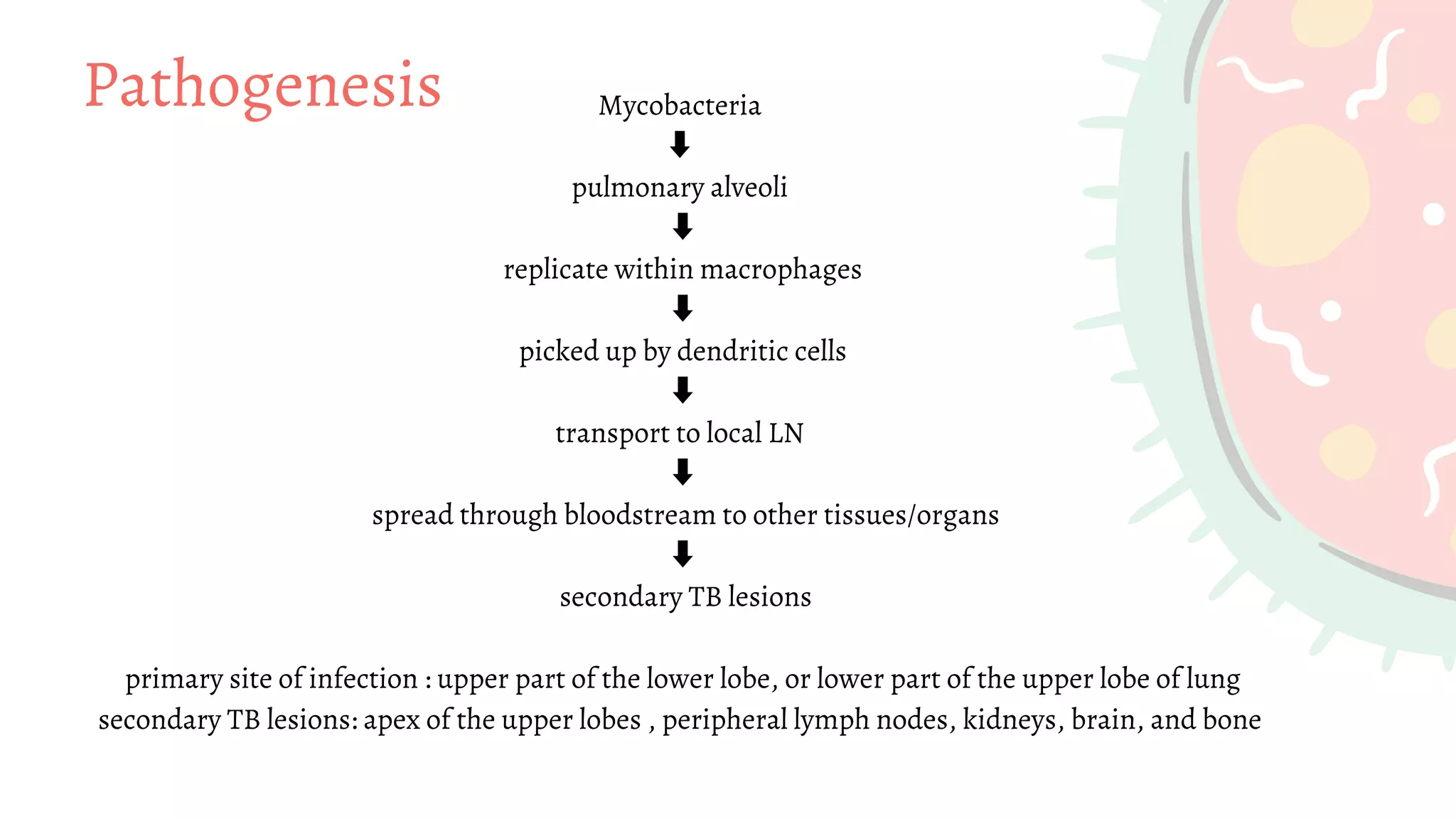 MYCOBACTERIUM (3).pdf