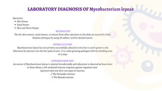 MYCOBACTERIUM (3).pdf