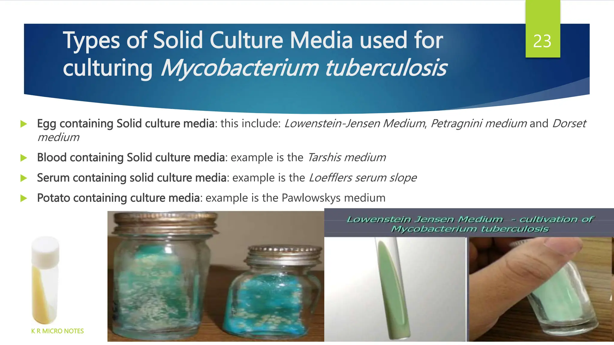 Mycobacterium Mycobacterium tuberculosis | PPTX