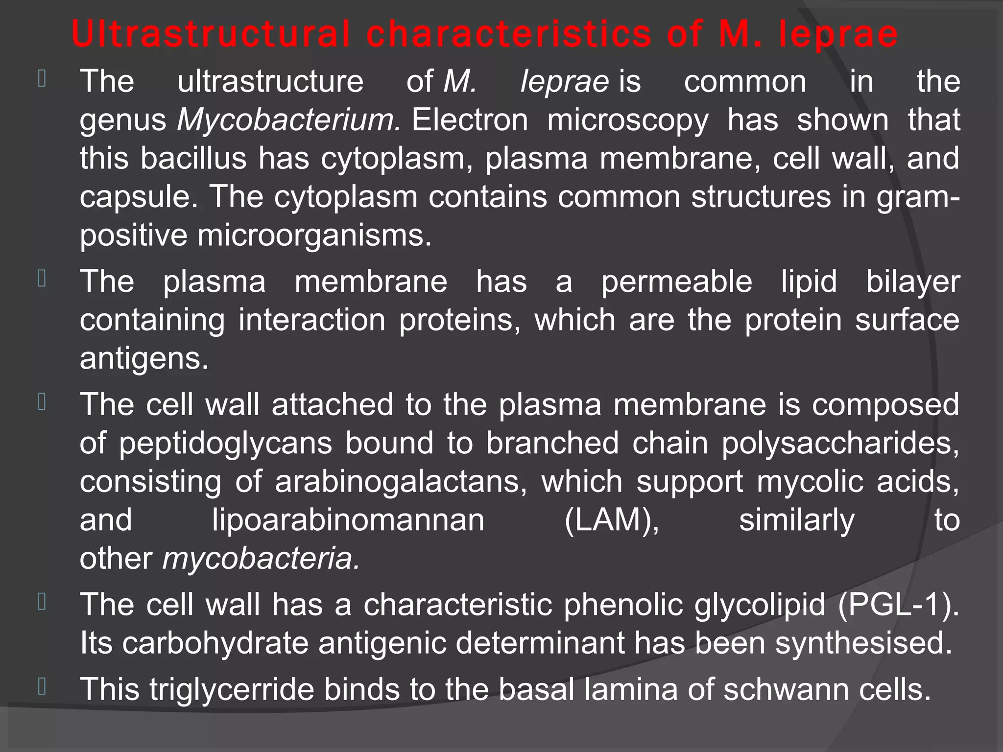 Mycobacterium leprae | PPT | Infectious Diseases | Diseases and Conditions