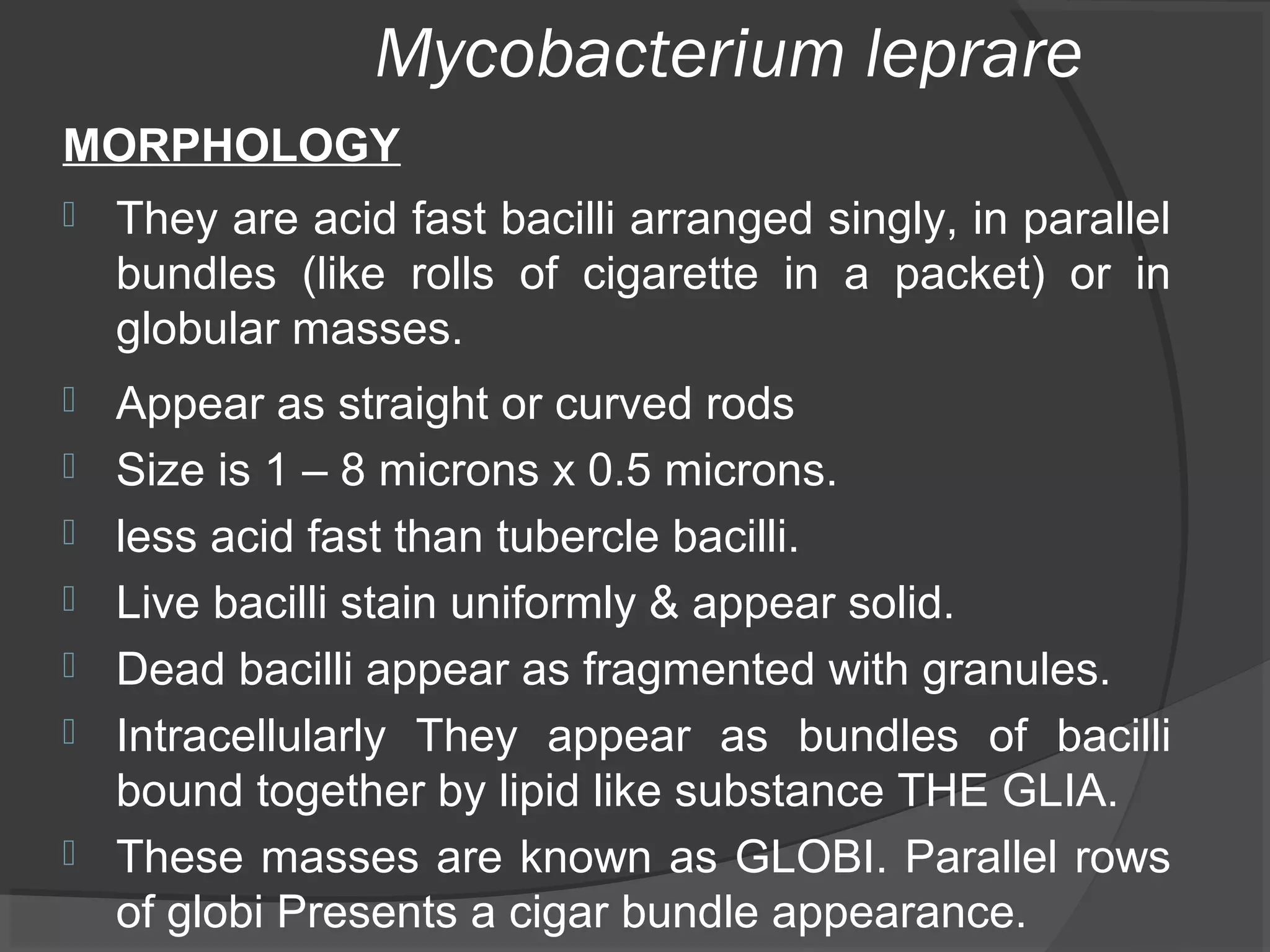 Mycobacterium leprae | PPT