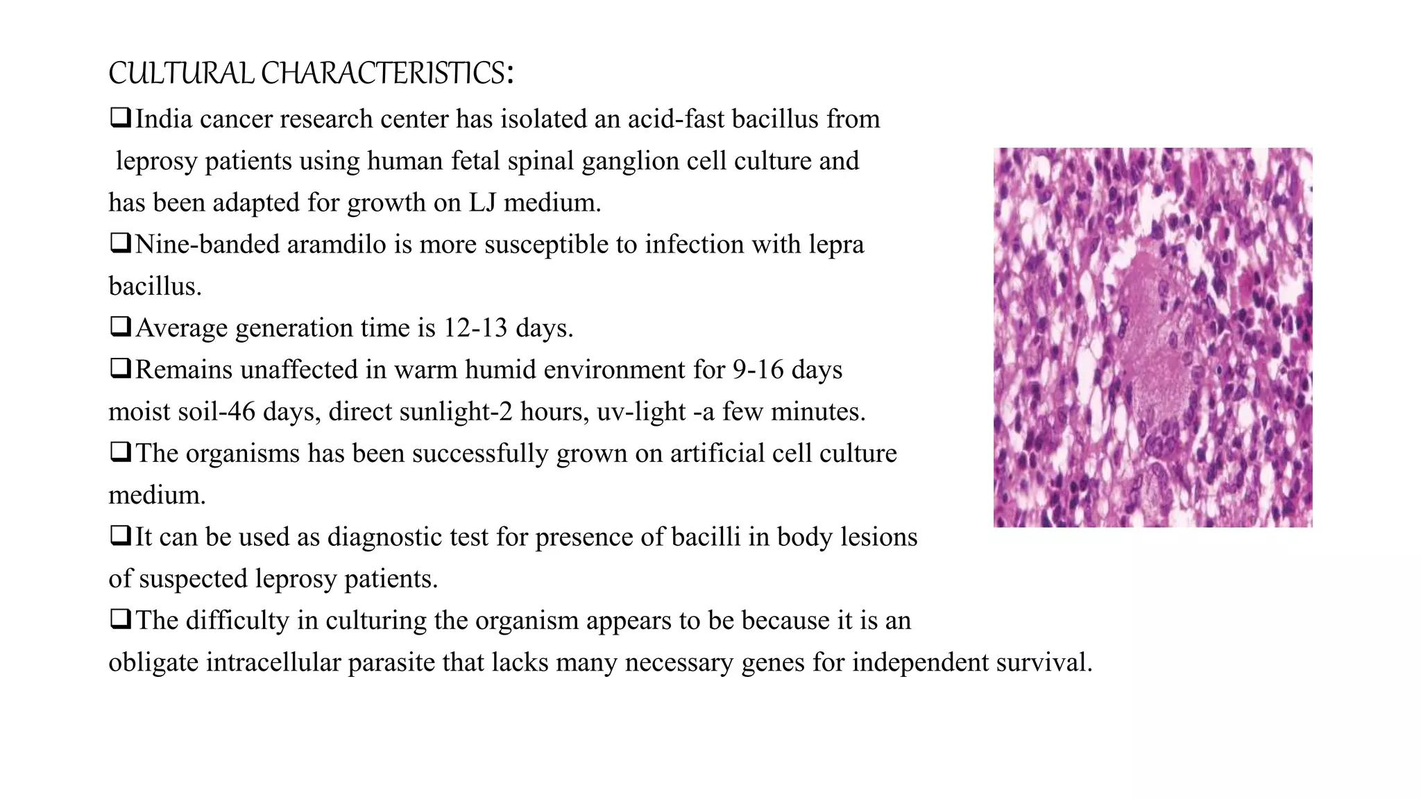 Mycobacterium leprae (Leprosy)- "Hansen's disease" | PPTX