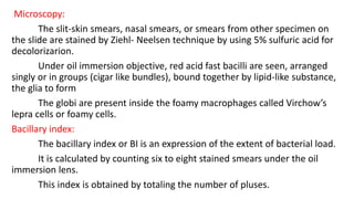Mycobacterium leprae (Leprosy)- "Hansen's disease" | PPTX