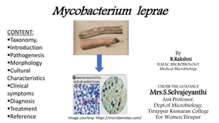 Description Of Mycobacterium Leprae