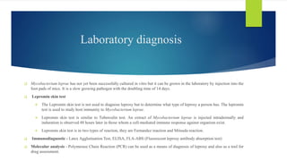 Mycobacterium leprae.pptx