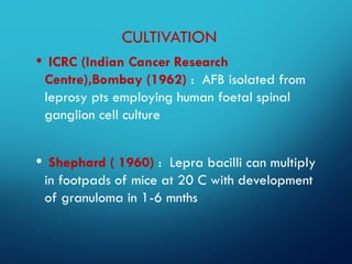 Mycobacterium leprae.ppt for Medical students | PPT
