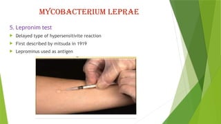 Medical bacteriology,Mycobacterium leprae | PPT