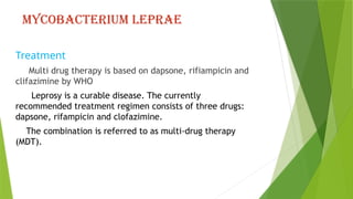 Medical bacteriology,Mycobacterium leprae | PPTX