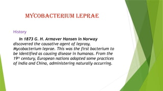Medical bacteriology,Mycobacterium leprae | PPT