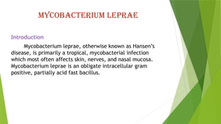 Medical bacteriology,Mycobacterium leprae | PPT