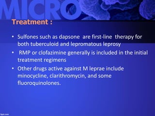Mycobacterium leprae by aslam matania | PPTX