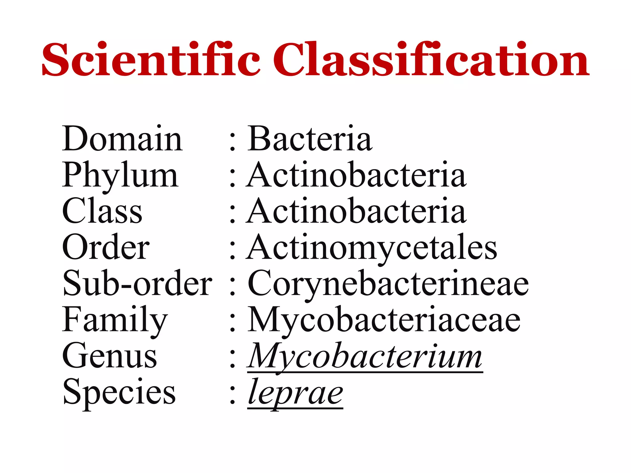 Mycobacterium leprey | PPTX