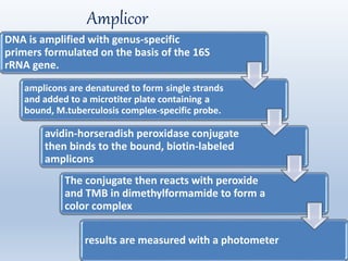 Mycobacterium molecular diagnosis | PPT