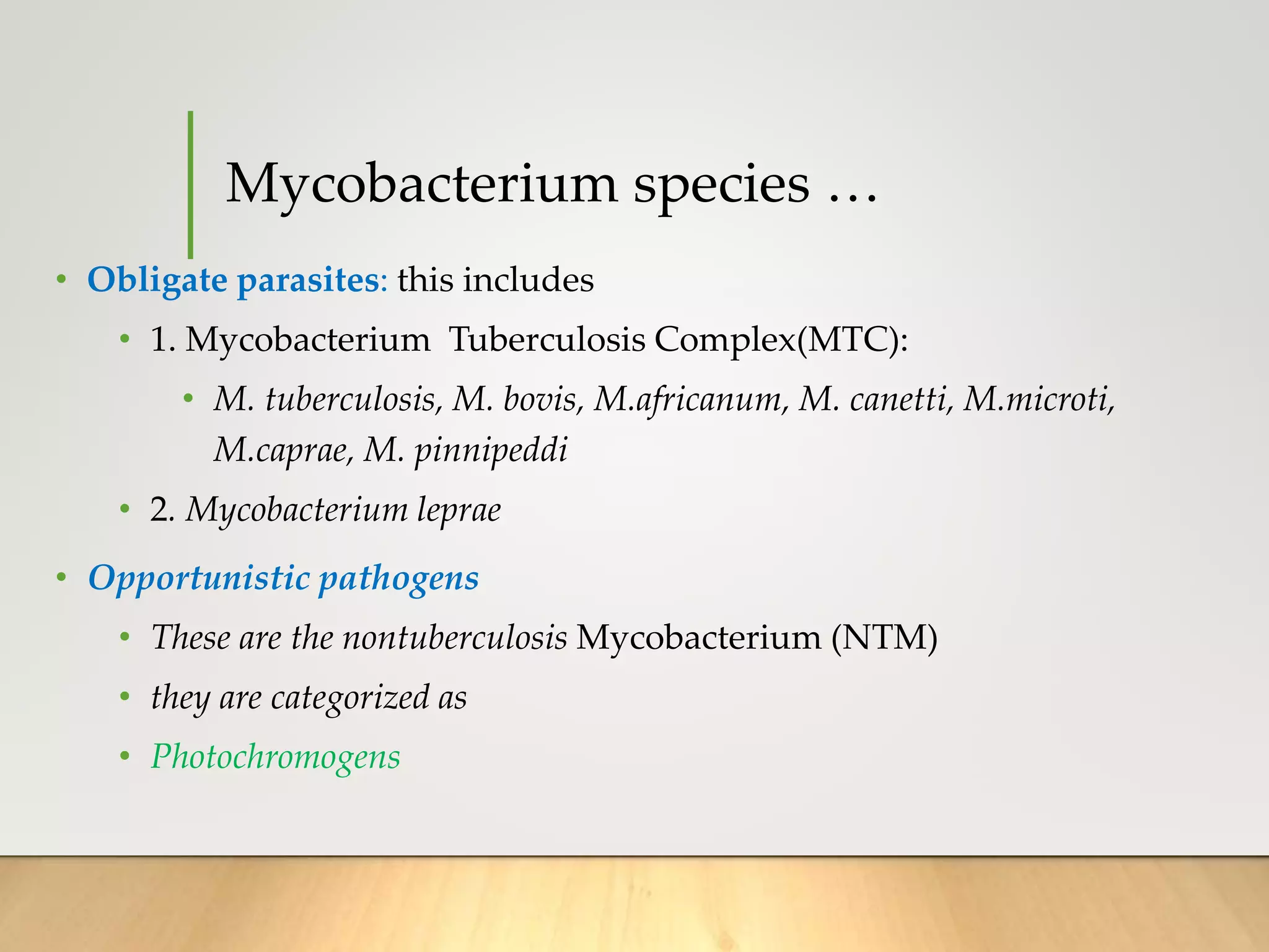 Mycobacterium species.pptx