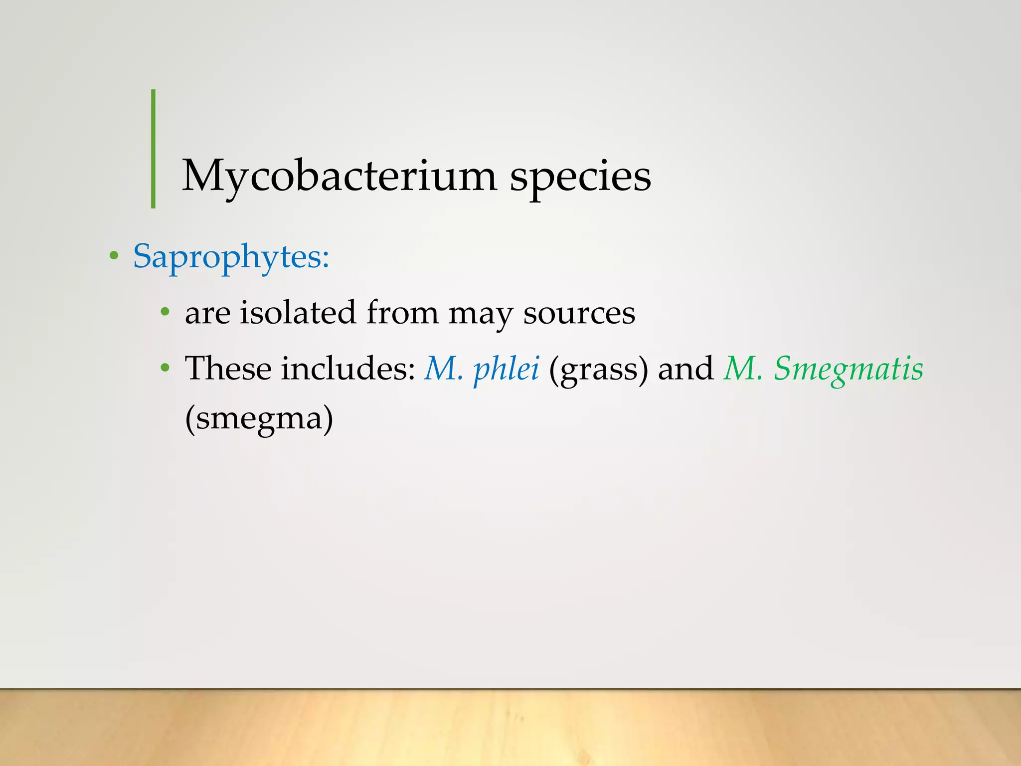 Mycobacterium species.pptx