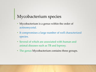 Mycobacterium species.pptx