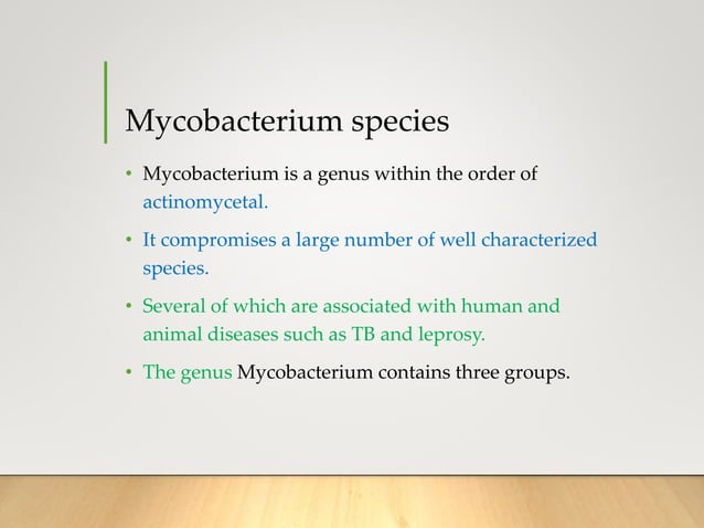 Mycobacterium species.pptx