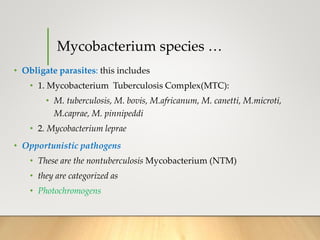 Mycobacterium species.pptx