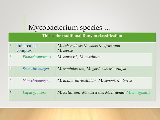 Mycobacterium species.pptx