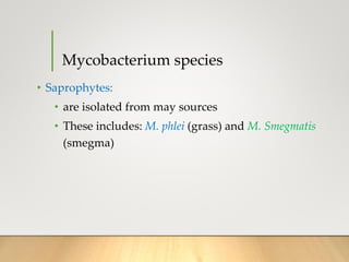 Mycobacterium species.pptx