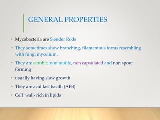 Mycobacterium species.pptx