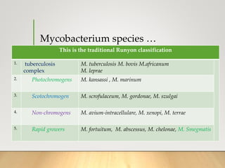 Mycobacterium species.pptx