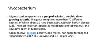 Mycobacterium Spp..pptx