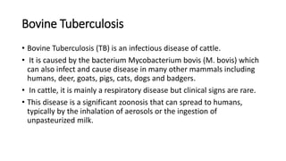 Mycobacterium Spp..pptx