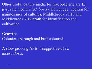 Mycobacterium spp.ppt