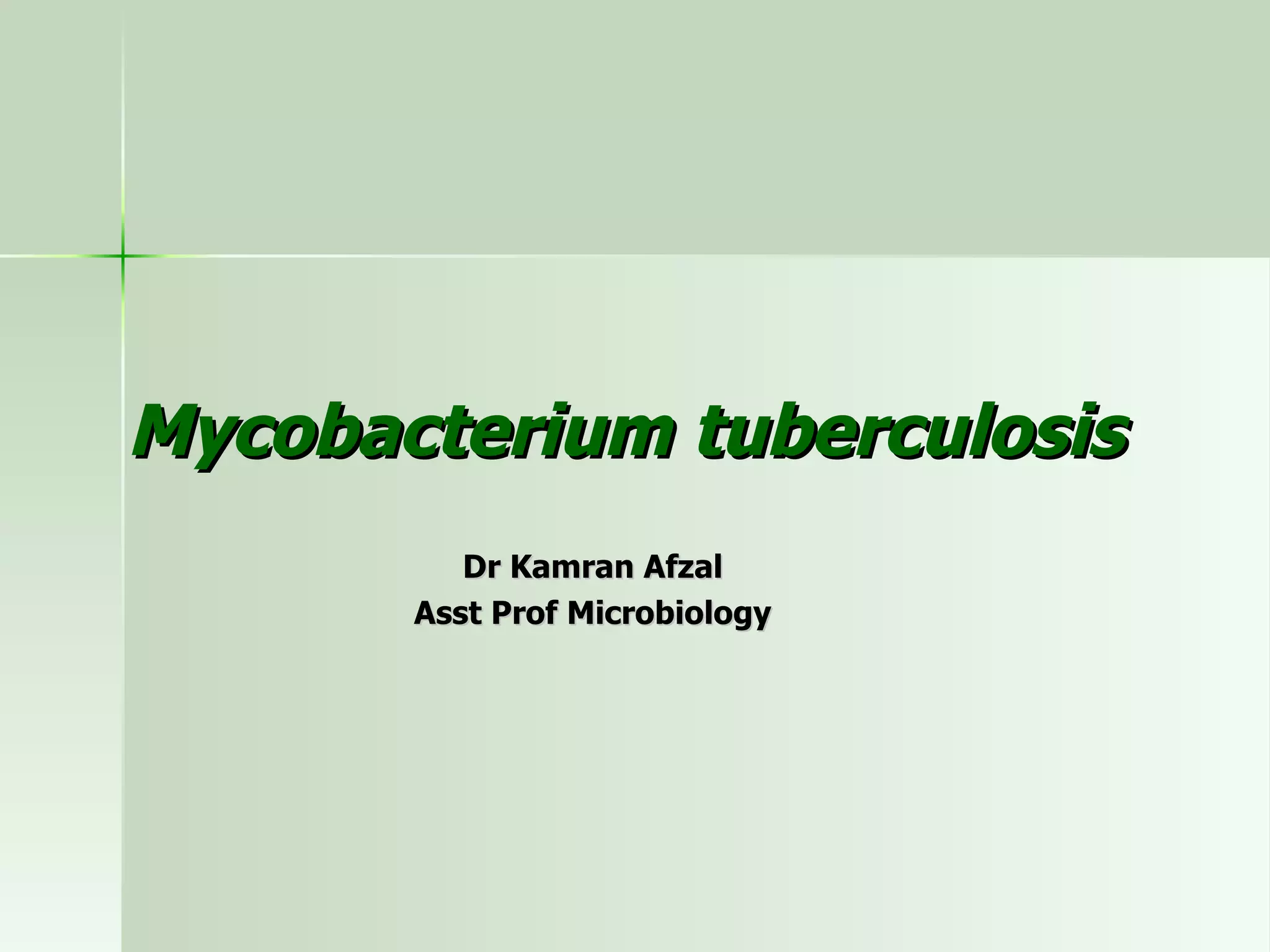 Mycobacterium tuberculosis | PPT