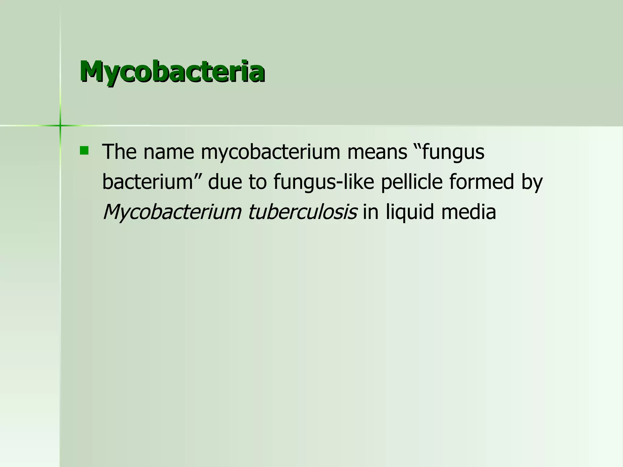 Mycobacterium tuberculosis | PPT