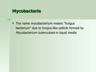 Mycobacterium tuberculosis | PPT