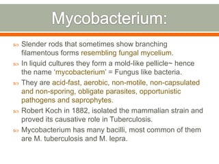 Mycobacterium tuberculosis | PPTX