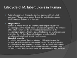 Mycobacterium tuberculosis | PPTX