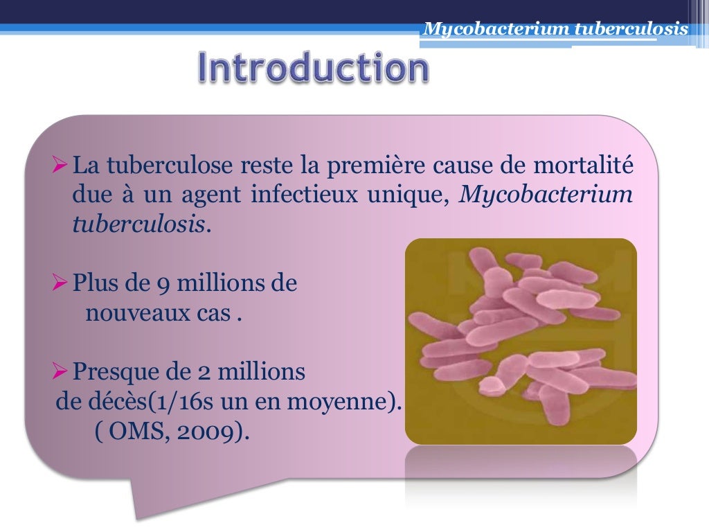 Mycobacterium Tuberculosis