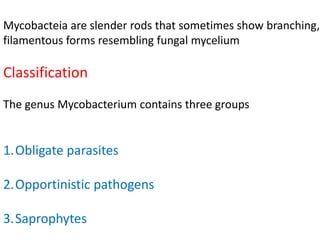 Mycobacterium tuberculosis | PPTX