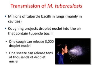 Mycobacterium tuberculosis | PPTX