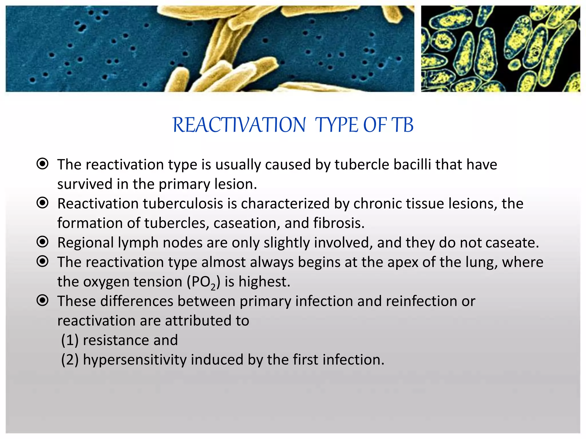 Mycobacterium tuberculosis(Microbiology) | PPTX