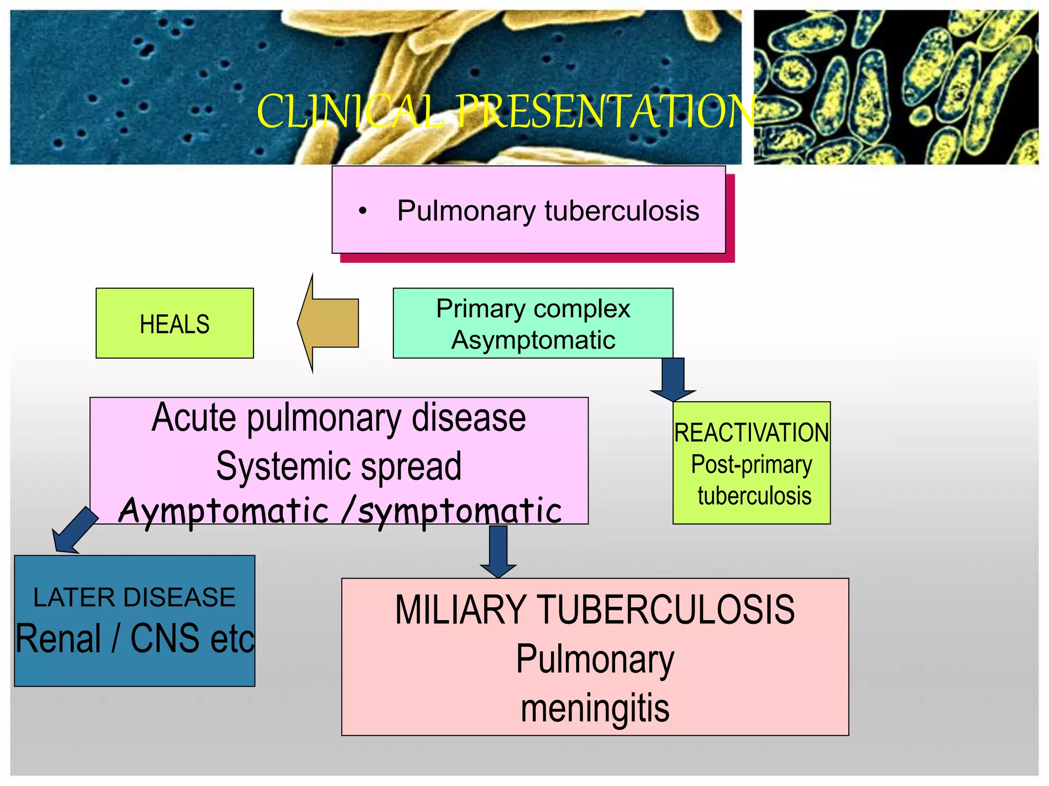 Mycobacterium tuberculosis(Microbiology) | PPTX