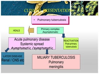 Mycobacterium tuberculosis(Microbiology) | PPTX