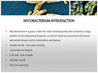 Mycobacterium Tuberculosis Bacteria Structure