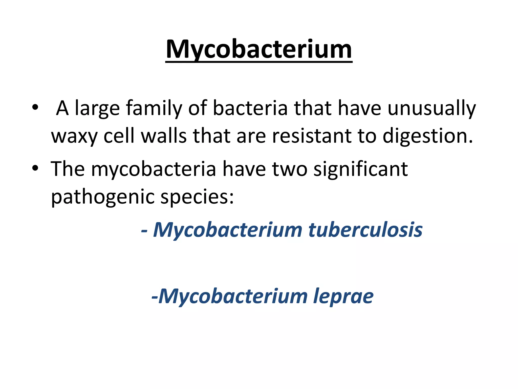 Mycobacterium tuberculosis | PPTX