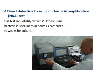 Mycobacterium tuberculosis | PPTX | Skin and Dermatology | Diseases and ...